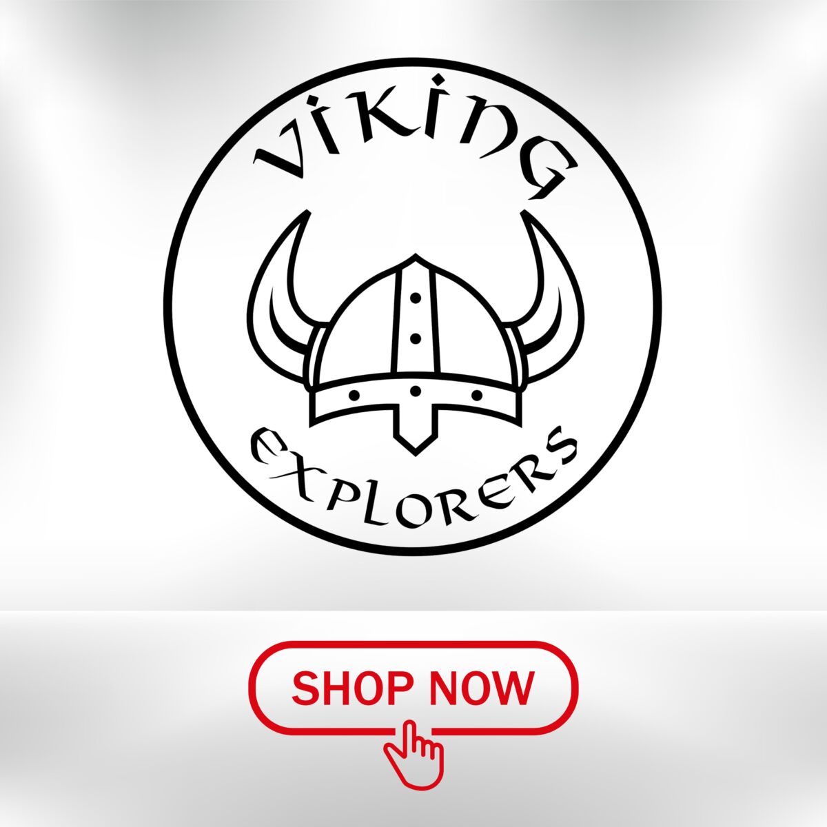 Scouts Viking Explorers